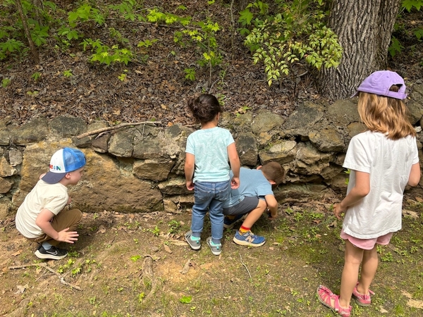 Primary Family Picnic at the Landschool